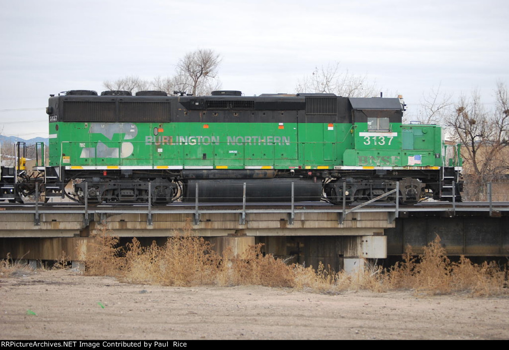 BNSF 3137